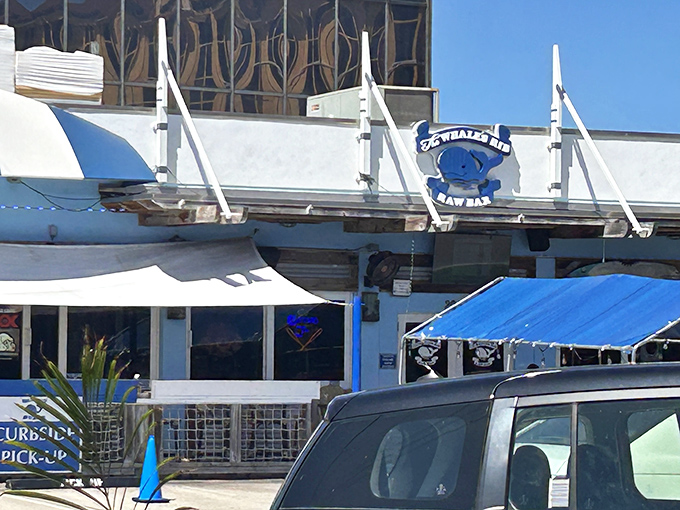 No need to 'whale' for good food &ndash; The Whale's Rib has got you covered. It's a catch you won't want to throw back!