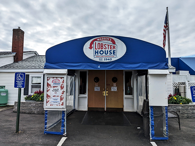 At Warren's, the d&eacute;cor says 'nautical gift shop,' but the food screams 'fresh off the boat.' It's like Hemingway opened a seafood joint.