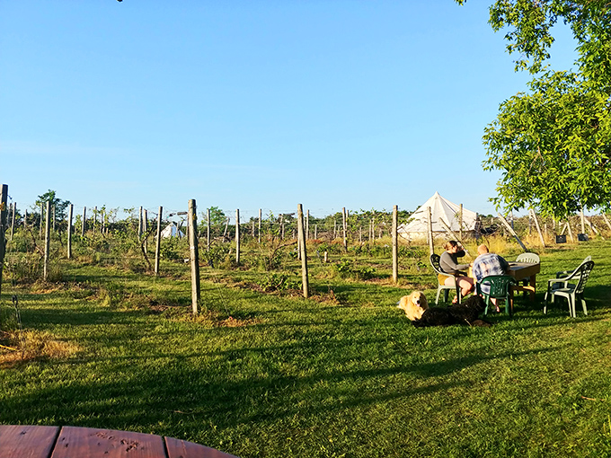 Deck dreams come true! Wild Mountain's panorama is so stunning, it should be prescribed as a stress reliever.