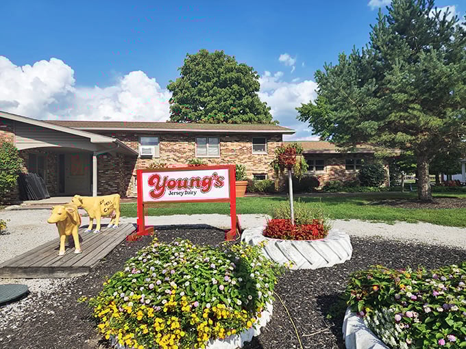 Farm-to-cone perfection at Young's. It's so fresh, you might find yourself writing thank-you notes to the cows!