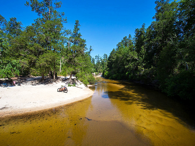 A bike trail that puts your neighborhood's bike lanes to shame. It's so picturesque, you'll forget you're exercising and think you're starring in a nature documentary.