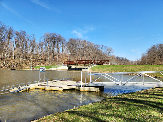 All aboard the S.S. Serenity! This dock is your gateway to aquatic adventures or simply a prime spot for perfecting your loafing skills.