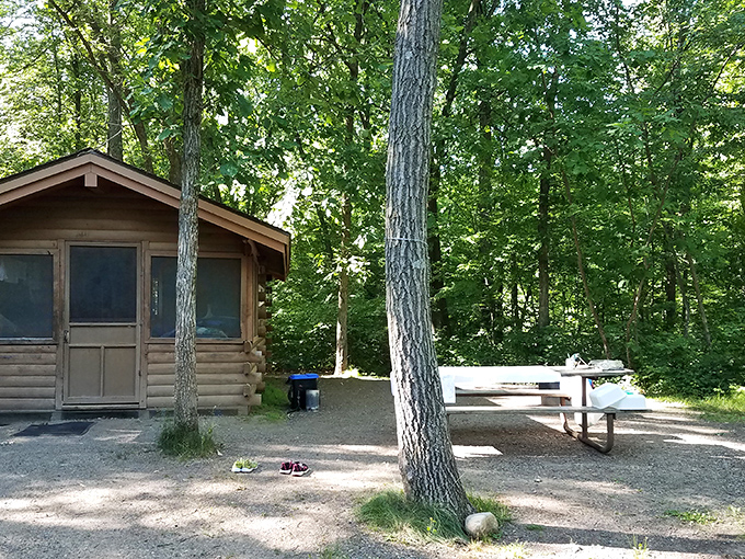 Rustic charm meets woodland retreat. It's like Lincoln Logs for grown-ups, but with actual plumbing. Comfort level: Paul Bunyan approved.