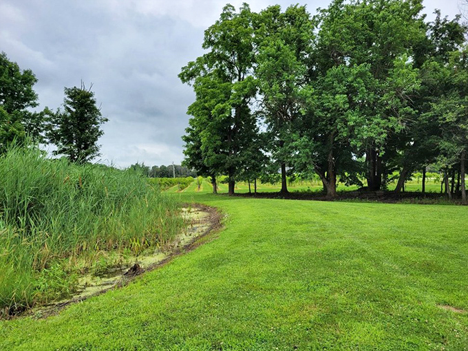 Nature's wine bar! This lush landscape is the perfect backdrop for sipping and savoring. It's like a screensaver come to life!