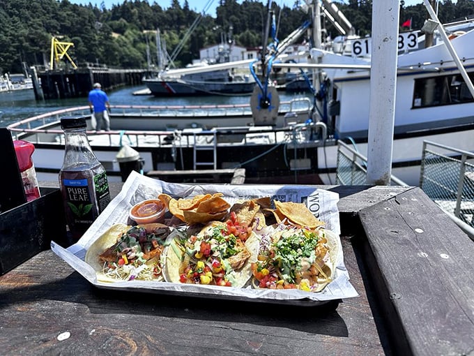 Salmon-chanted evening! These grilled salmon tacos are a perfect blend of healthy and heavenly. Who knew being good could taste so bad?