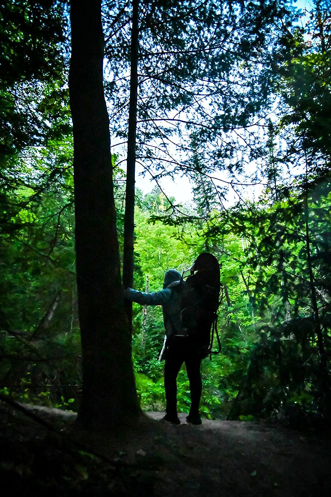 Into the woods we go! Where every step is an adventure, and the trees keep all your secrets.