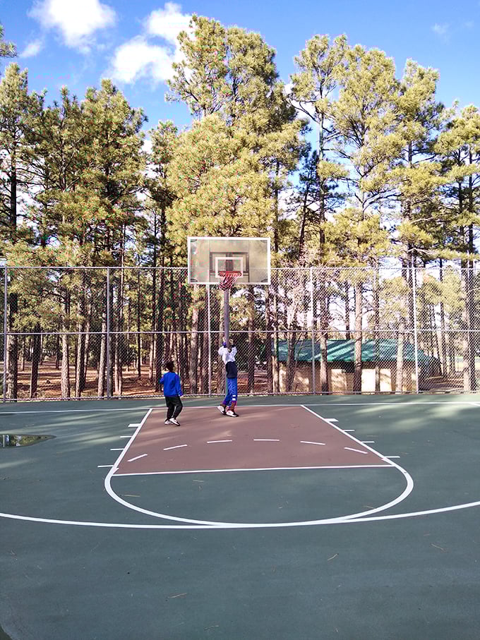 Hoop dreams in the pines! These kids are shooting for the stars &ndash; or at least the top of these towering trees.