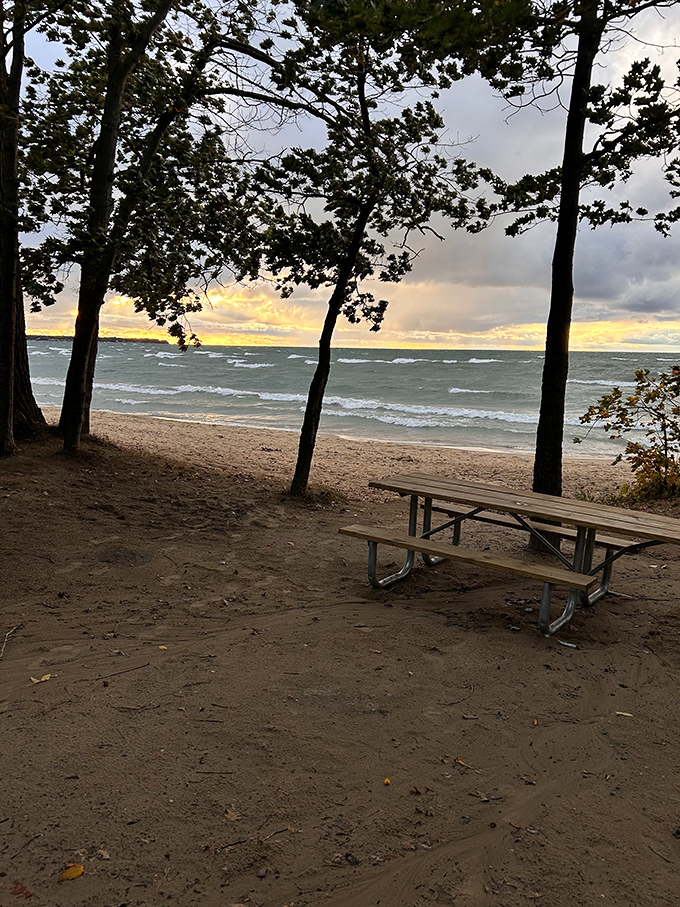 Front-row seats to nature's greatest hits! This lakeside spot offers the best views in the house, no ticket required.