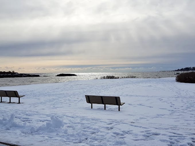 The best seats in the house, courtesy of Mother Nature. Ocean views and snow-covered comfort - what more could you ask for?