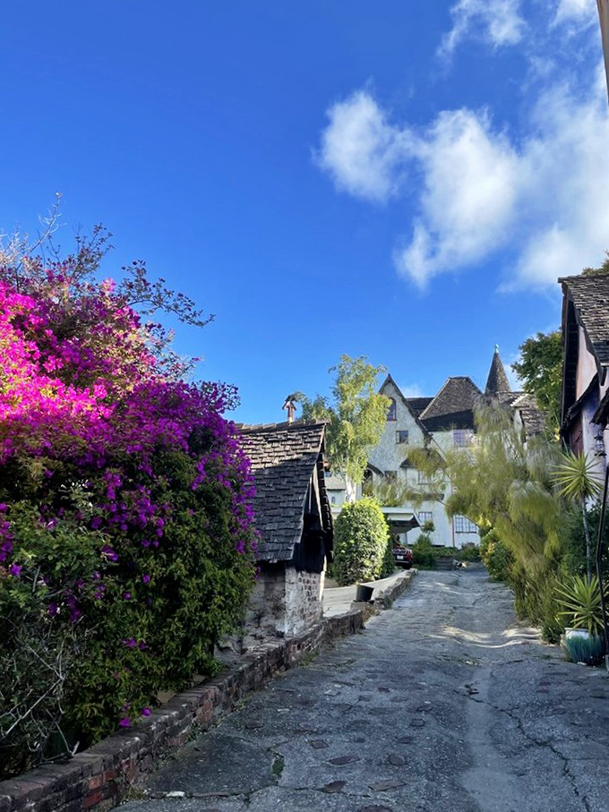 Follow the yellow brick… er, cobblestone road! Dorothy would feel right at home on this charming path.
