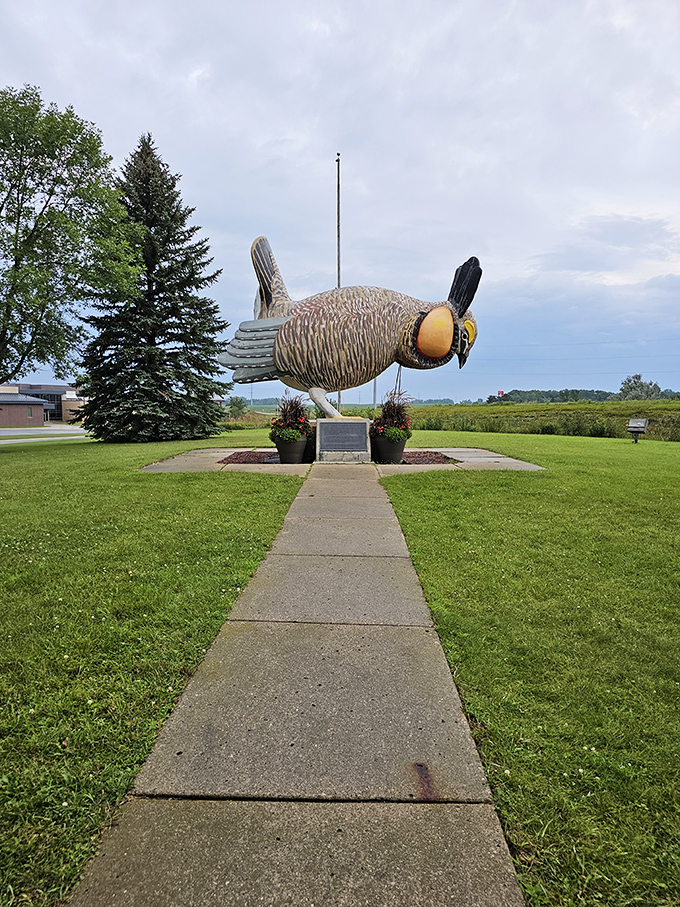 The yellow brick road ain't got nothing on this: A path leading to poultry paradise. Follow the concrete road!