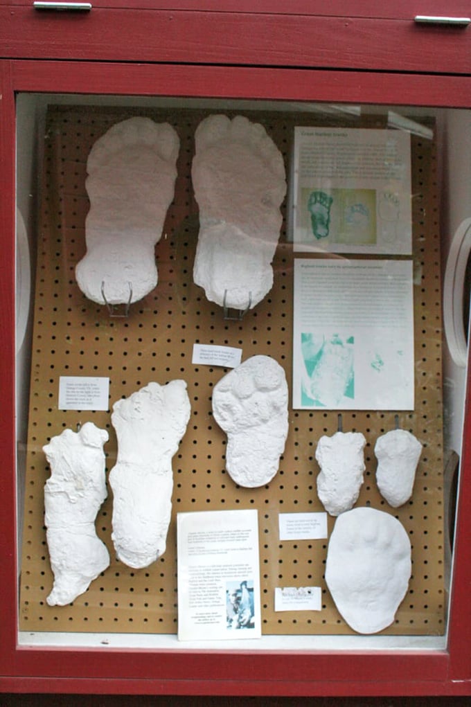 CSI: Cryptid Scene Investigation. These plaster casts might just be the smoking gun in the case of the century.