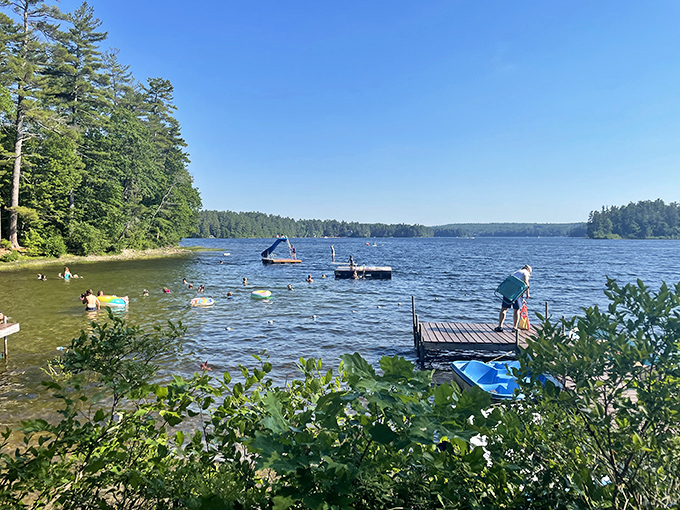 Lakeshore bliss! These happy campers have found the sweet spot between sun-soaking and shade-seeking.