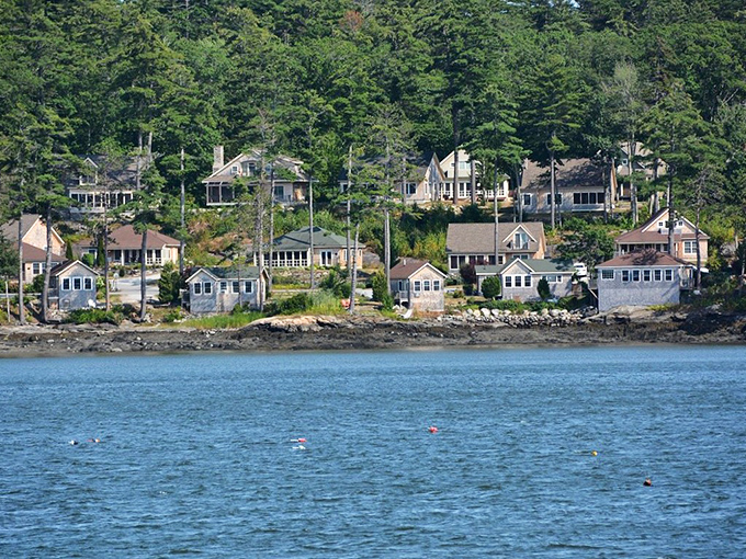 Riverside living: Where every day feels like a vacation. These lucky homeowners wake up to views that could make a postcard blush.