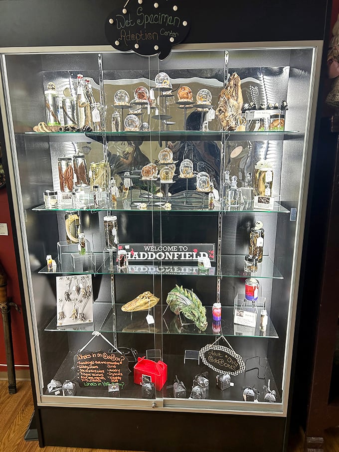 "Wet Specimen Adoption Center" &ndash; because every home needs a conversation piece that's equal parts fascinating and unsettling.