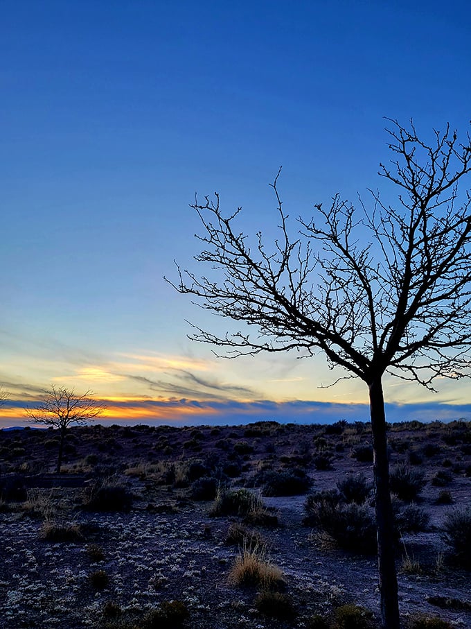 Mother Nature's nightly light show paints the desert sky. Move over, Vegas &ndash; this is the real dazzling display!