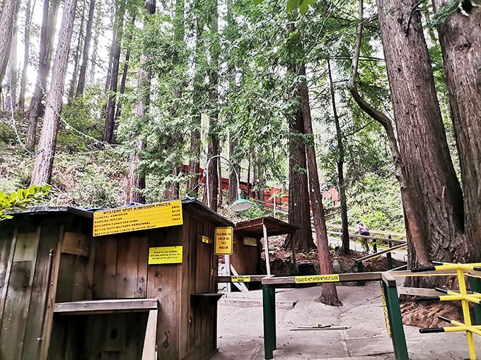 Tickets to tilt your world! Step up to this rustic booth and prepare for a journey into the extraordinary.