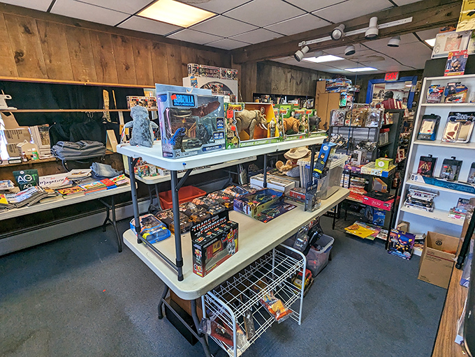 Toy story come to life! From action figures to stuffed animals, it's a playground for the young and young-at-heart.