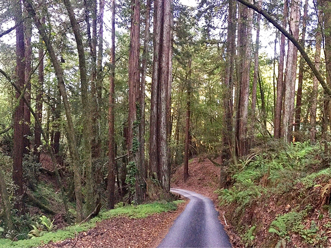 A path less traveled? Maybe. But with views like this, you'll wonder why everyone isn't walking this trail.
