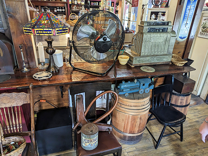 Vintage vibes galore! This isn't just a collection of old stuff; it's a treasure trove of conversation starters and nostalgia triggers.