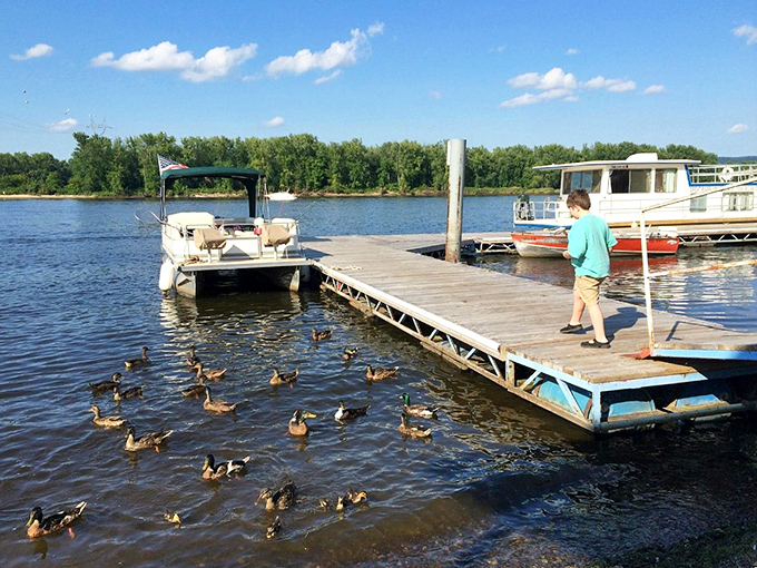 Fowl play: These ducks clearly didn't get the memo about social distancing. But who can blame them with a view like that?