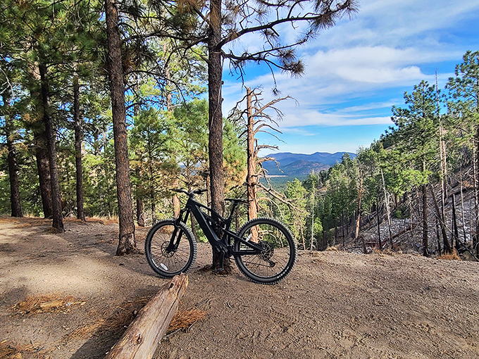 Two-wheeled paradise found! This trail's got more twists and turns than a telenovela, but with 100% more fresh air.