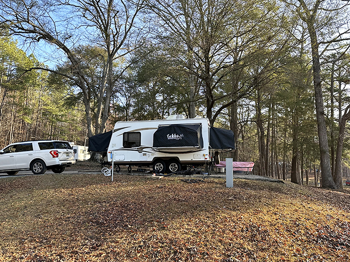 Glamping goals achieved! This cozy campsite proves you can have your great outdoors cake and eat it too, with all the comforts of home.