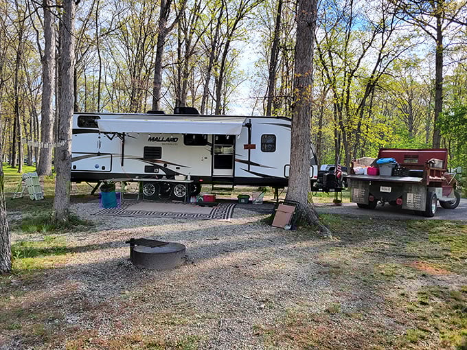 Glamping goals! Who needs a 5-star hotel when you can have a 5-billion-star sky right outside your RV door?