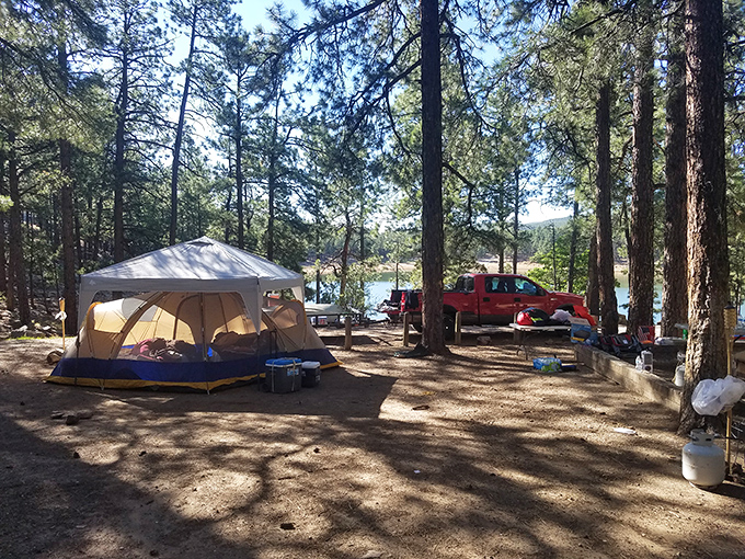 Home is where you pitch it. Camping at Morphy Lake State Park lets you trade your four walls for a million-star hotel.