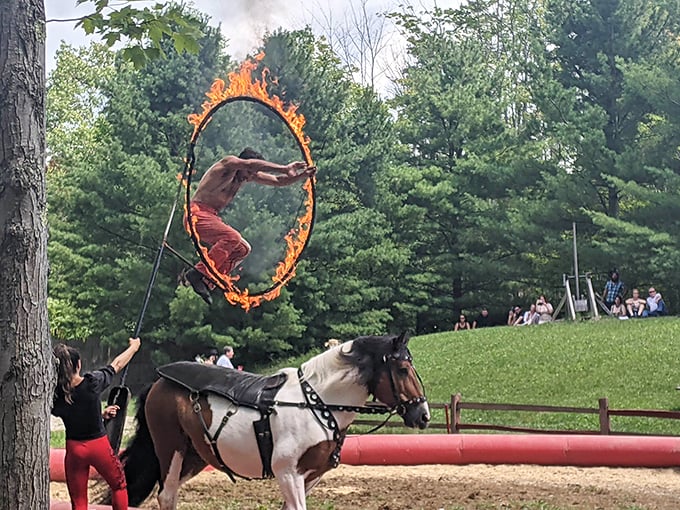 Who needs a gym when you can leap through flaming hoops? Talk about a hot workout routine!