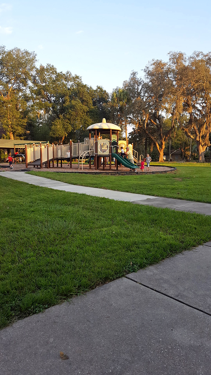 Playground paradise: Where kids swing into adventure and parents reminisce about the days before "helicopter parenting" was a thing.