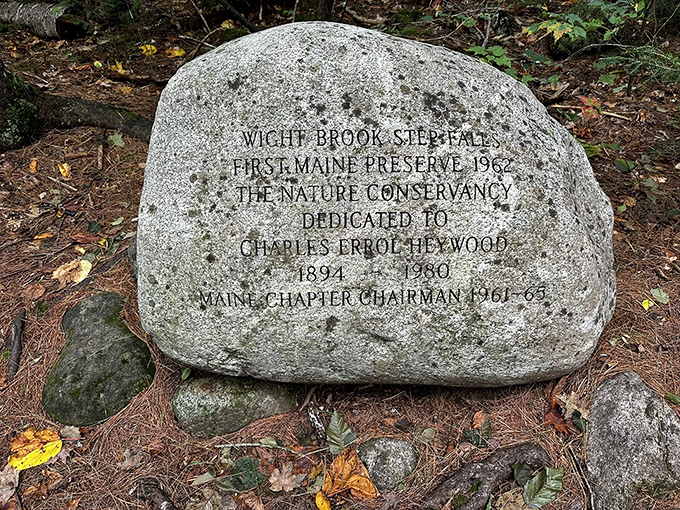 History carved in stone. This rock tells a tale older than your grandpa's jokes, but infinitely more interesting.