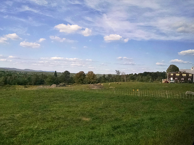 Rolling hills, lush grass, and endless sky – this isn't just a farm, it's nature's amphitheater for the perfect day of wine and relaxation.