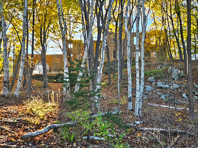 Hide and seek, history edition! Goddard Mansion plays peekaboo through the trees, teasing visitors with glimpses of its stone secrets.