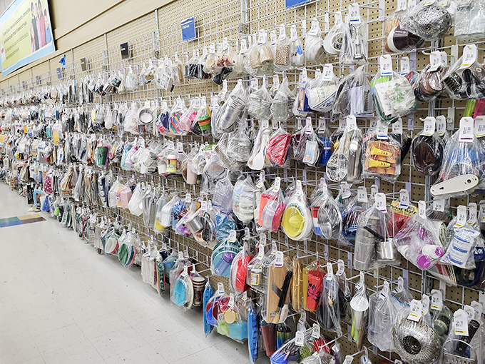 From cookie jars to candle holders, this aisle is a home decorator's dream. It's like raiding your cool aunt's attic, but everything's for sale.