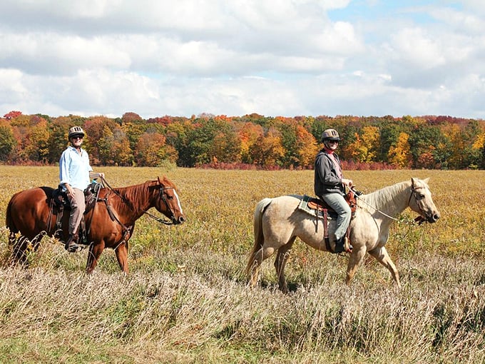 Giddy up! High Cliff's horseback trails offer a chance to channel your inner cowboy. No tumbleweeds, but plenty of "yeehaws!"