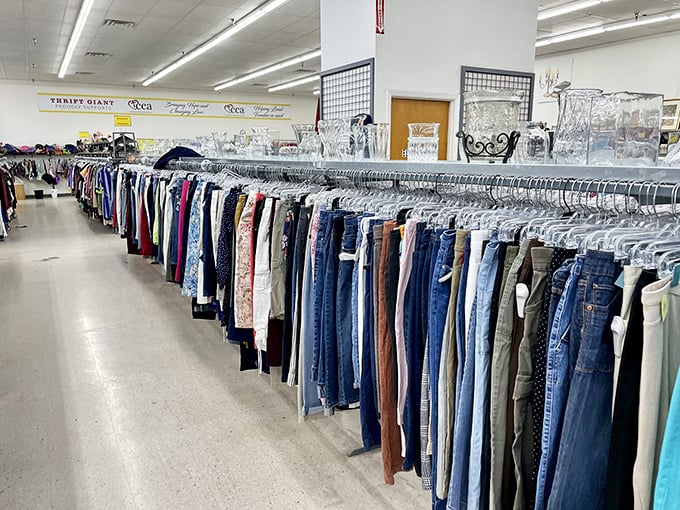 Denim dreams come true in this blue jean bonanza. It's like a Levi Strauss fever dream, but with better prices.