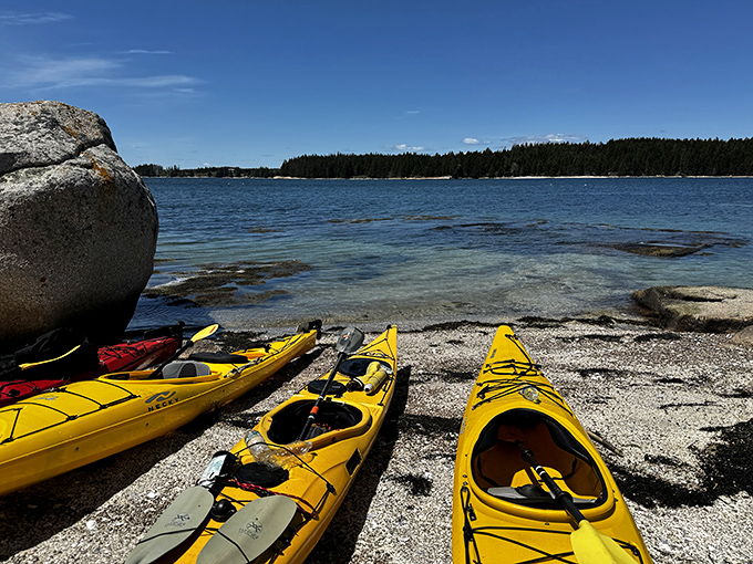 Kayaking in Stonington: where you can paddle your way to serenity or work up an appetite for your next lobster roll. Choose your adventure!