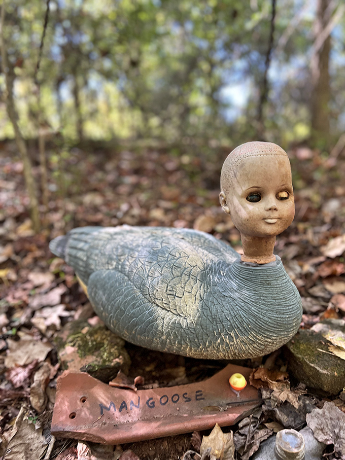 Duck, duck... goose? Nope, it's a "mangoose"! This clever creation proves that on Doll's Head Trail, even the wildlife has a sense of humor.