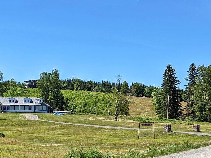 Science meets serenity. Orgonon's grounds are so peaceful, you'd never guess they once housed experiments that shook the scientific world.