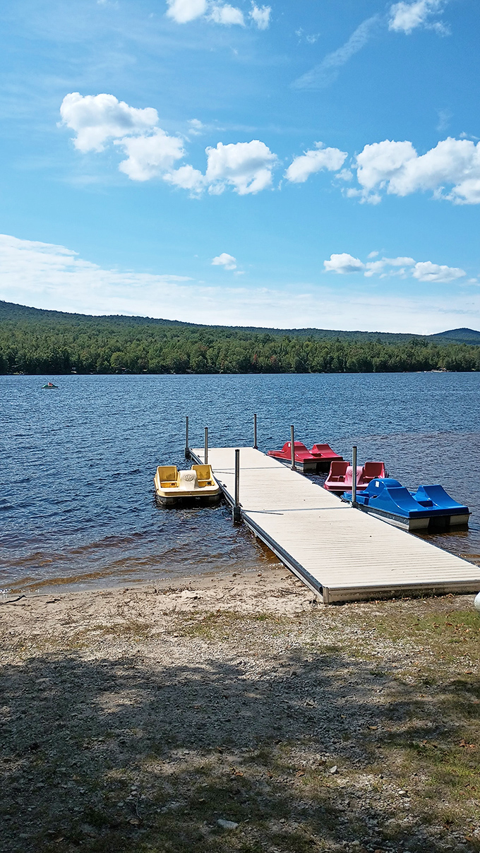 Paddle your way to serenity on these colorful boats. It's like a rainbow decided to take a leisurely swim.