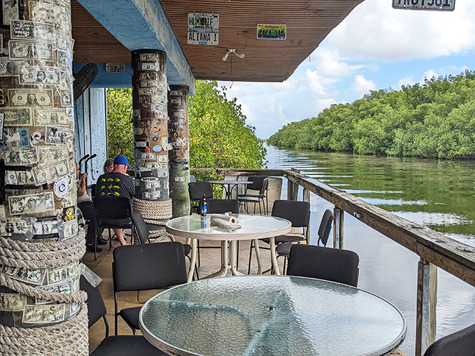 Dinner with a view? Yes, please! Mother Nature's showing off, and we're here for it. Pass the conch fritters!