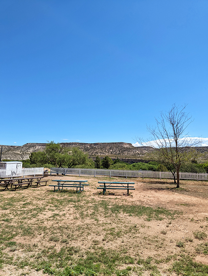 Picnic with a view! These benches offer a perfect spot for a sandwich and a side of scenic vistas. BYO time-appropriate snacks!