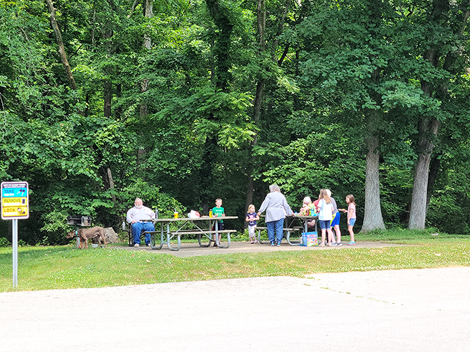 Picnic with a side of time travel: Gather 'round for a meal where the conversation spans millennia.