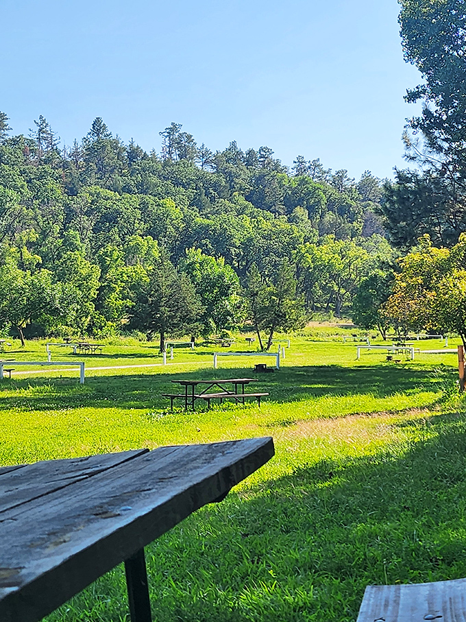 "Picnic tables with a side of paradise!" Enjoy your sandwich with a view that beats any 5-star restaurant's ambiance.