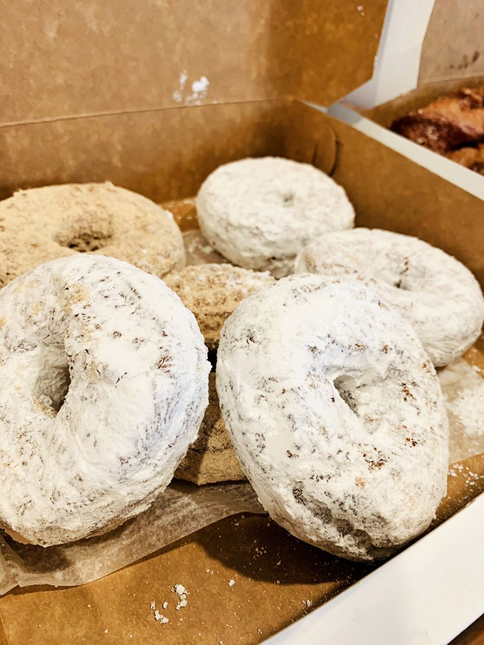 Powdered donuts: nature's way of saying "Go ahead, wear that black shirt. I dare you." A delicious risk worth taking.
