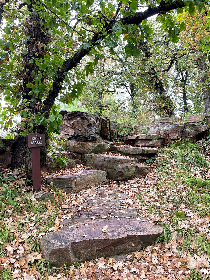 Nature's own connect-the-dots! These ripple marks are like prehistoric fingerprints left by ancient waters.