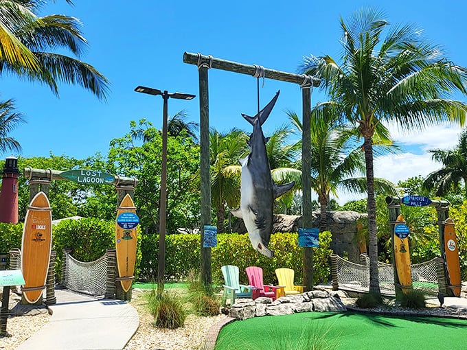 Jaws meets Jupiter in this shark-tastic scene. Don't worry, this big fish is more interested in golf balls than swimmers.