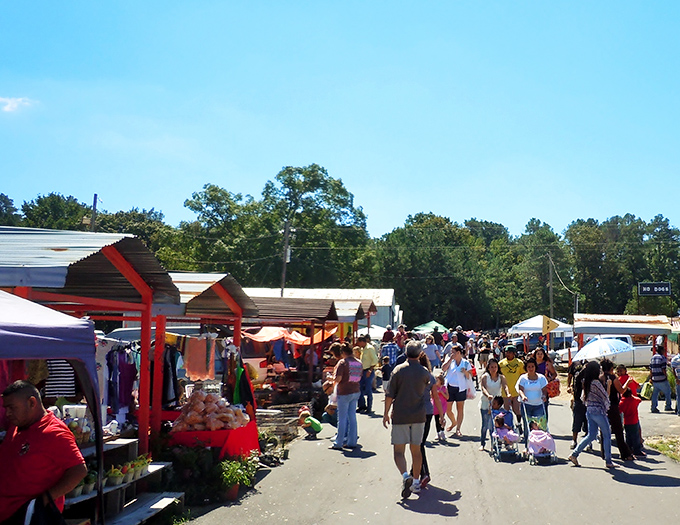 The thrill of the hunt! These savvy shoppers are on a mission to find hidden gems and maybe a kitchen sink or two.