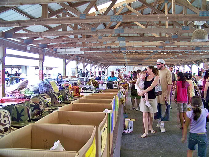 Treasure hunters in their natural habitat. Watch as they navigate the aisles with the precision of seasoned archaeologists on the hunt for the next great find.